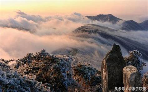 天目山：大樹華蓋聞九州 每日頭條