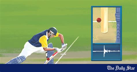 Cricket Gizmos The Daily Star