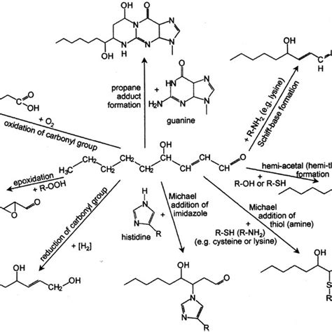 Chemical Structure Of 4 Hydroxy 2 Trans Nonenal Hne Download