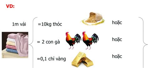 Hình Thái Giá Trị đơn Giản Hay Ngẫu Nhiên Hình Thái Giá Trị Mở Rộng