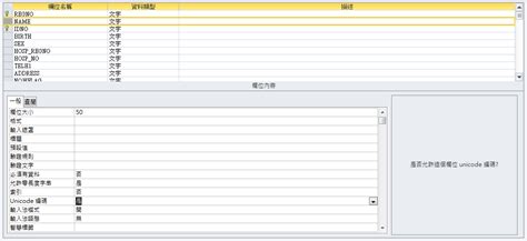 Programdatabase Access中文難字處理sql指令