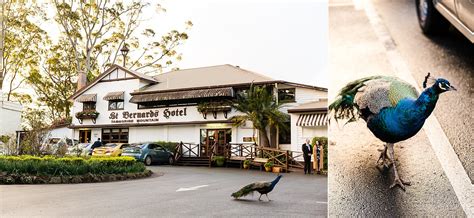 Bernards Hotel Mount Tamborine At Adrienne Maldonado Blog
