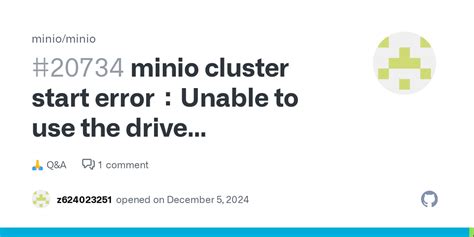 minio cluster start error：unable to use the drive xx xx xx xx
