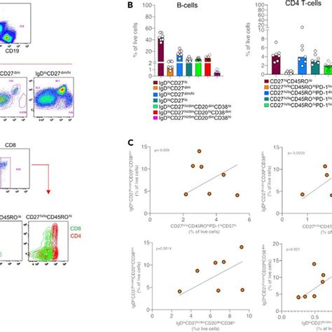 Assessment Of The Tonsillar Cellular Composition With Multiparametric