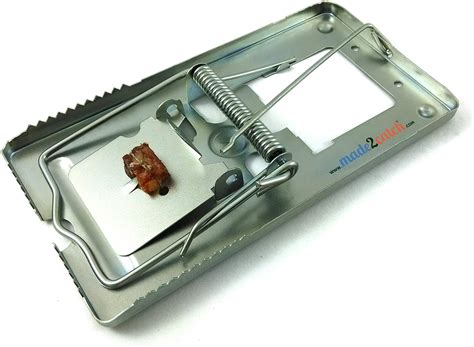 Squirrel Traps Outdoor Squirrel Traps Ouell Traps