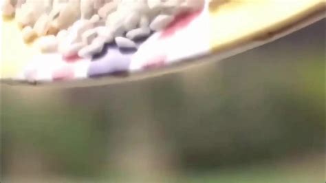 Sex Sanatları Uzmanı Sülo Pilav Sever Youtube