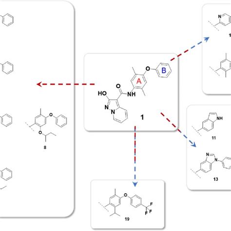 Lead Compound 1 And Designed Compounds 2−19 Involved In The Sar