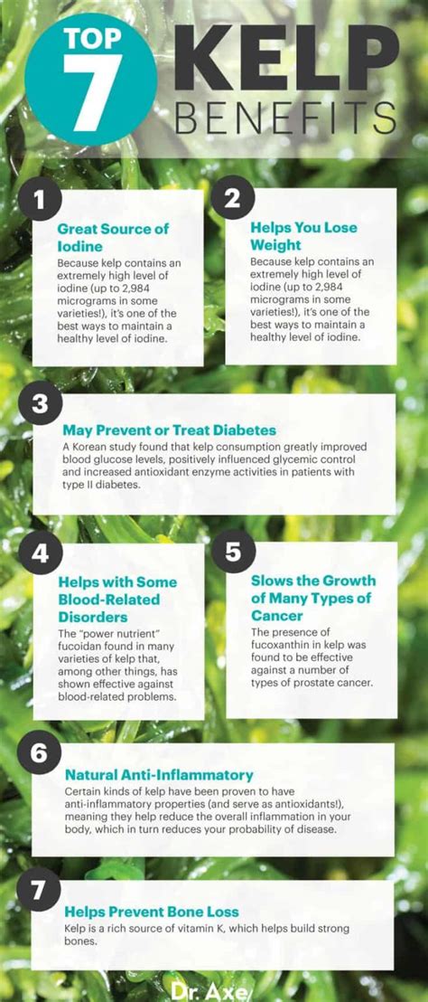 Kelp Benefits Nutrition Facts And How To Use Dr Axe