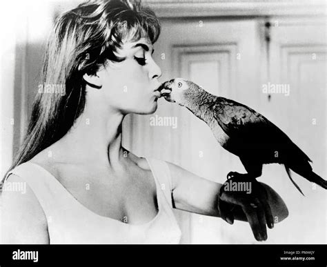 Brigitte Bardot 1956 Fotos Und Bildmaterial In Hoher Auflösung Alamy