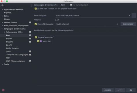 Config Dart SDK Inside Intellij IDEA On MacOS FlutterMaster