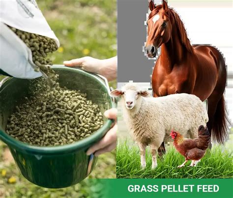 How To Make Grass Pellets With Pellet Machine Kawise