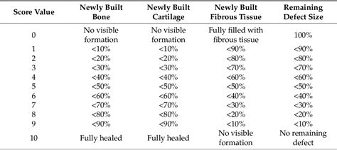 Table 2 From The Impact Of Defect Size On Bone Healing In Critical Size Bone Defects