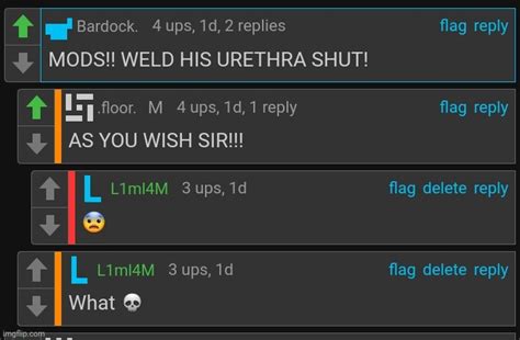 Mods Weld His Urethra Shut Imgflip