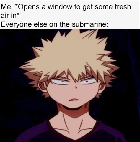 Bakugou My Hero Academia Memes There Are Two Types Of Animators Working On Bnha Those That