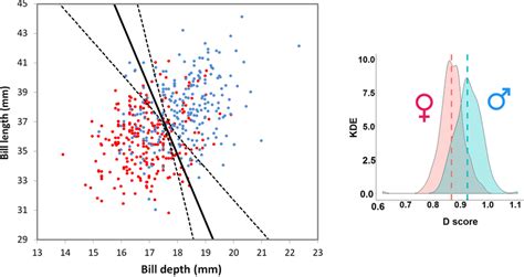 Bill Length And Bill Depth In 501 Adult Adélie Penguins Pygoscelis