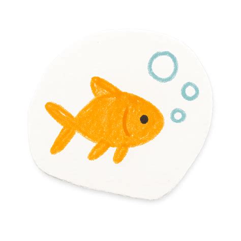 ㅈㅂㅈㄷ Album On Imgur