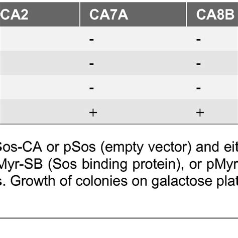 Drop Assay After Fresh Transformation Download Table