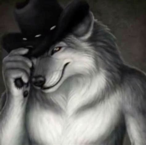 Je Débarque Mèmes De Chats Loup Gris Dessins Significatifs