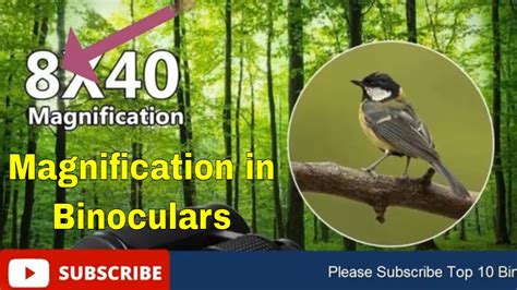 Binocular Magnification Explained In 3 Minuteswhat Numbers Means In