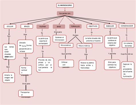 Mapa Conceptual Del Microscopio 2 Pdf Microscopio Equipo