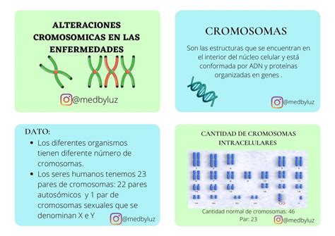 Alteraciones Cromosómicas Sweet Udocz