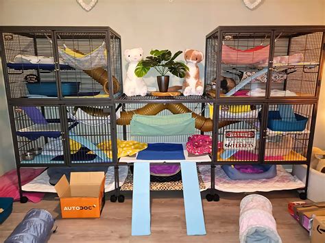 24 Amazing Ferret Cage Ideas Ferret Cage Decoration Ideas Ferret Dig