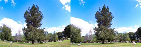 Wide Angle Effect After Effects