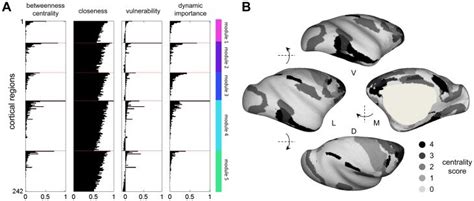 A Regional Scores For Node Betweenness Closeness Vulnerability And Download Scientific