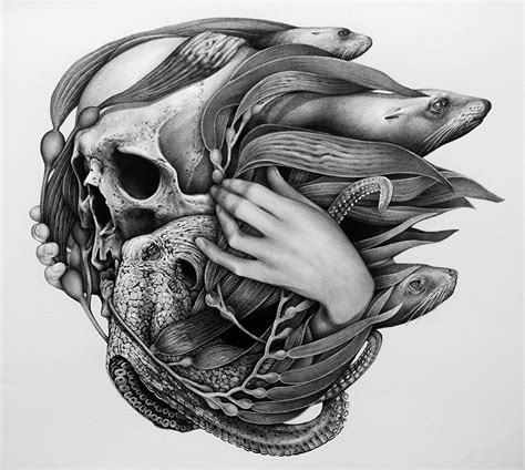 Collin Elder — Designcollector