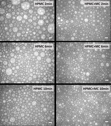 Evolution Of The Foam Microstructure During Whipping In Lines 2 6 And