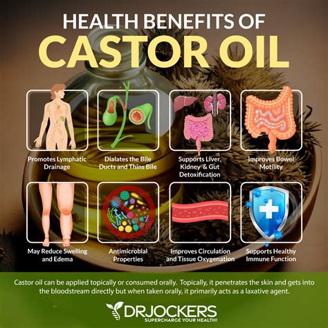 Castor Oil Key Health Benefits And How To Use It