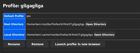 Linux Firefox Slow At First Startup But Not On The Other Startup R