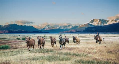 Explore The Stunning Landscapes Of Patagonia