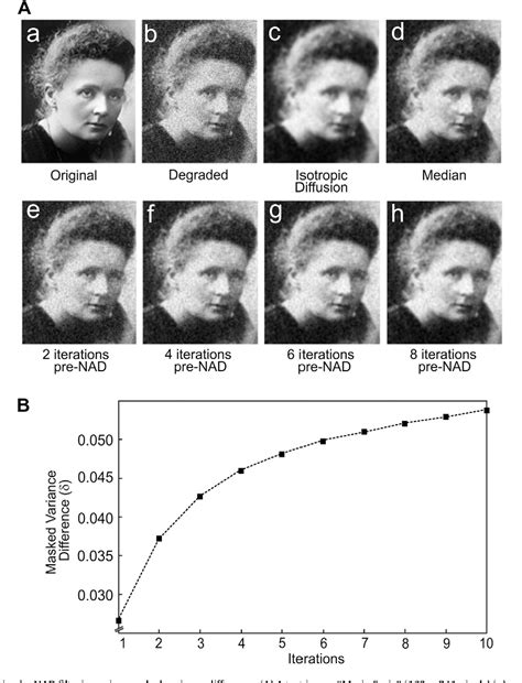 Figure 1 From Improving The Quality Of Electron Tomography Image Volumes Using Pre