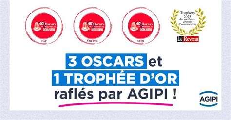 Agipi Distinctions Pub Conseil Tiphane Vuillemin