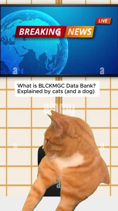 Video Constantine Shulyak On Linkedin Databank Aidatabank Blckmgc Blckmgcdatabank