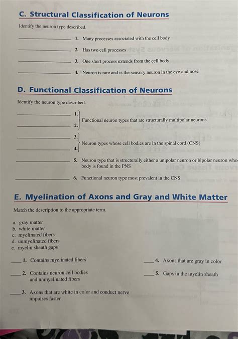 Solved C Structural Classification Of Neurons Identify The Neuron Type Course Hero