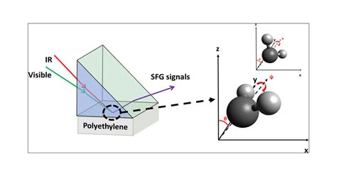 Structures And Adhesion Properties At Polyethylenesilica And