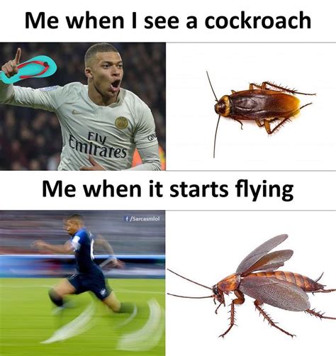 Follow Our Own Very Funny Memes Funny Images Laughter