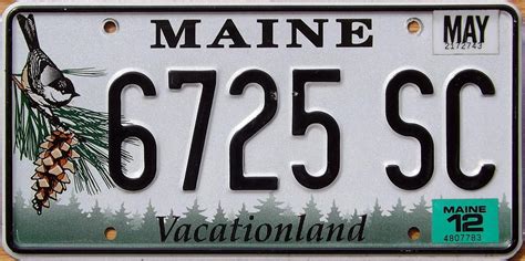 Maine License Plate With Pine Cone And Bird 1977 Maine License Plate
