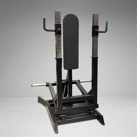Standing Chest Press Vs Bench Press At Marsha Tibbetts Blog