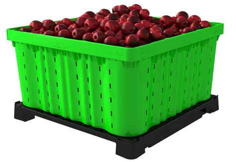 How To Build A Compost Bin Out Of Pallets Mouldible