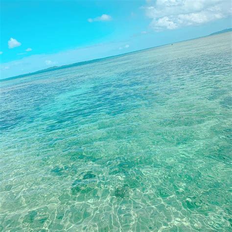 青木美香さんのインスタグラム 青木美香aokimikaa