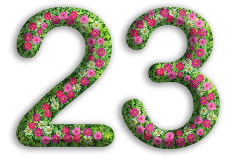 19 000 Number Shape Flower Pictures