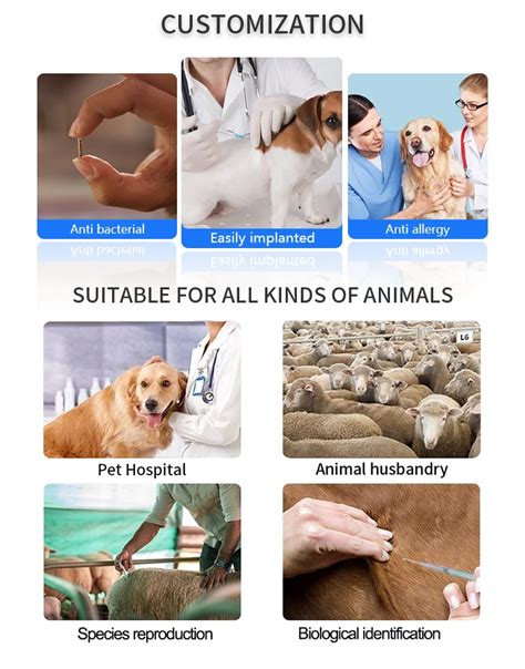 Injectable Rfid Transponder Iso Animal Tracing Chip