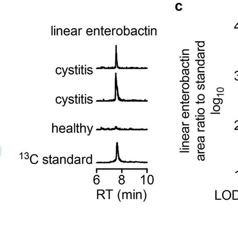 Urinary Enterobactin And Scn In Human Urinary Tract Infections Caused