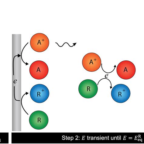 Schematic Of The Charge Transfer And Accompanied Transport Processes