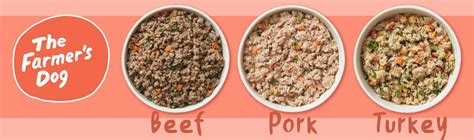 The Farmers Dog Food Review Is It The Best Choice