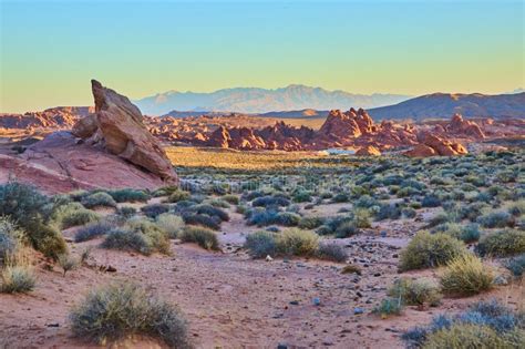 Rugged Red Rocks And Desert Grasses At Golden Hour Eye Level View Stock