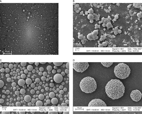 Optical Microscope Image A And Scanning Electron Micrograph B Of